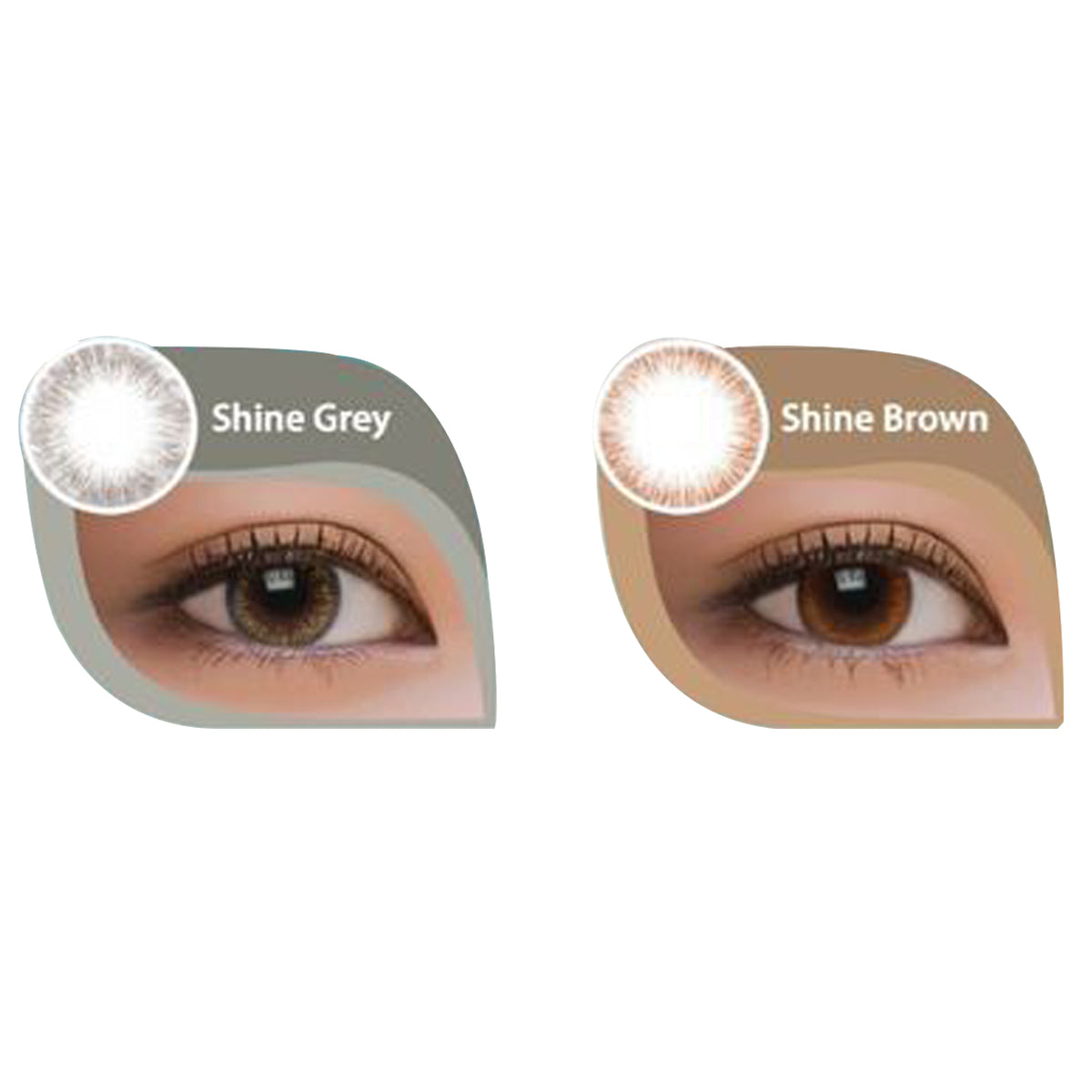 1-Day Blincon Shine Color Lenses 10 Lenses – Shop.MalayaOptical.Com
